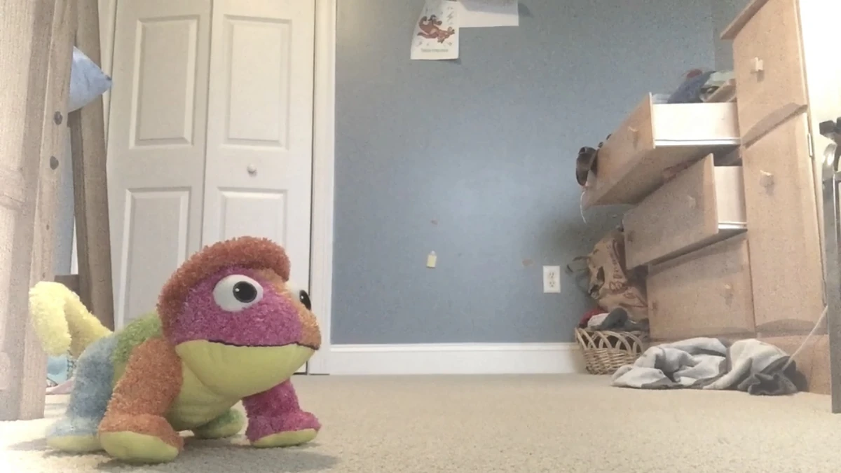 Cami the Chameleon | Gallery | The Allen Show Wiki | Fandom