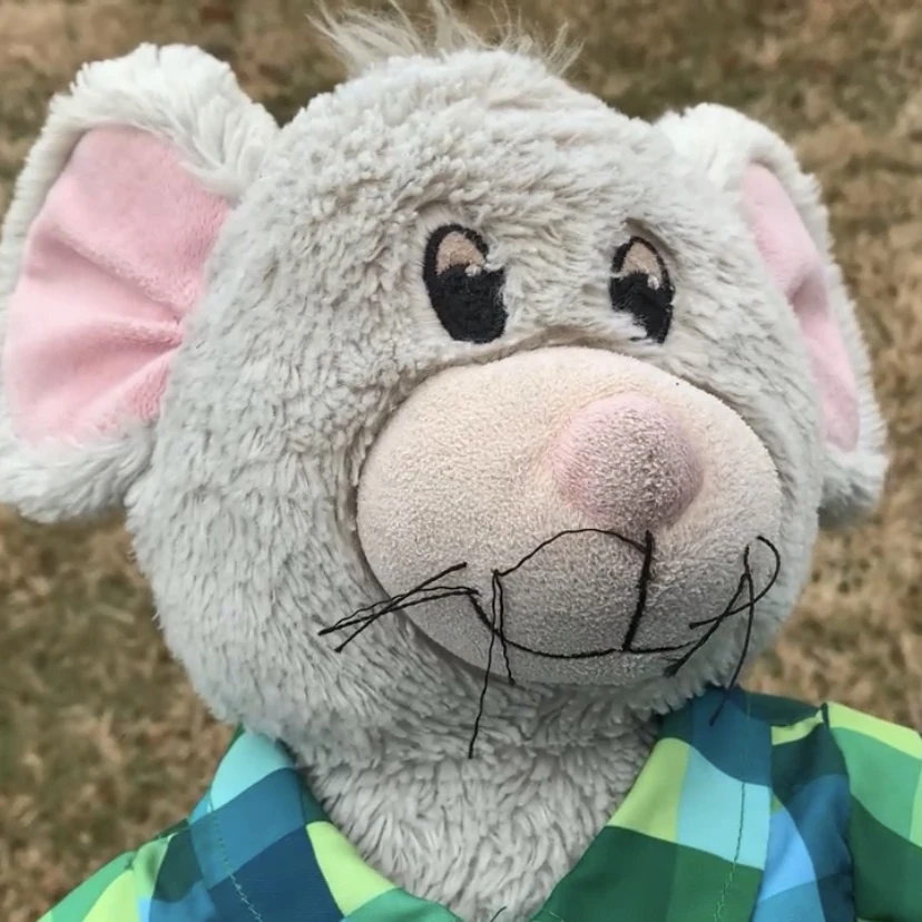 Squeaky the Mouse | The Allen Show Wiki | Fandom