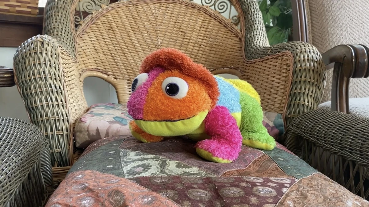 Cami the Chameleon | The Allen Show Wiki | Fandom