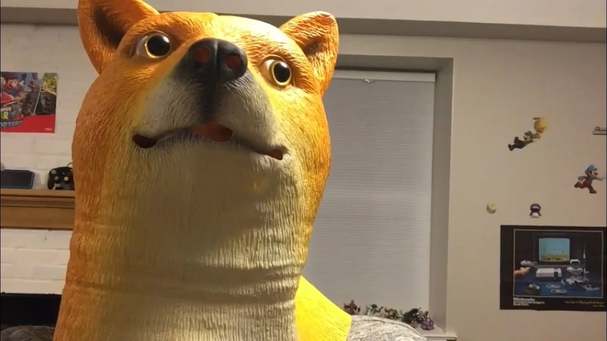 The Bark Life | The Allen Show Wiki | Fandom