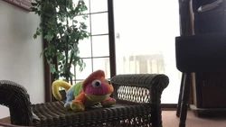 Cami the Chameleon | The Allen Show Wiki | Fandom