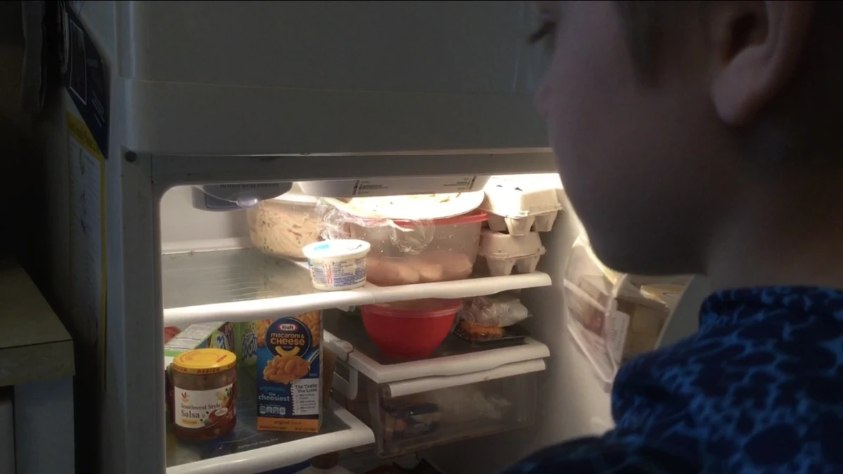 Magic Refrigerator | Gallery | The Allen Show Wiki | Fandom