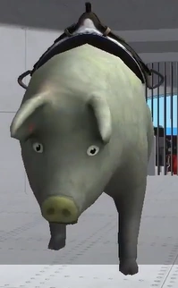 Pigs | TheAmazingFrog Wikia | Fandom