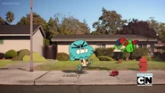 Timmy (frog) | The Amazing World of Gumball Wiki | Fandom