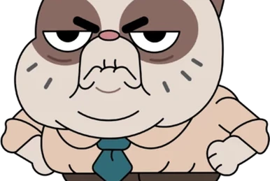 Evil Turtle The Amazing World Of Gumball Wiki Penny Fitzgerald/Gallery