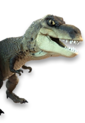 Amazing World Of Gumball Tina