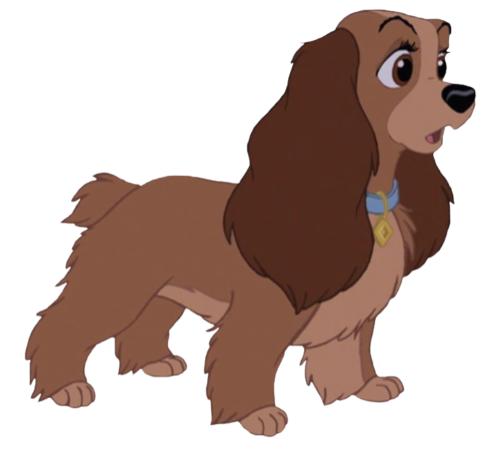 The Regular-Cocker-Spaniel Lady | The 5D-Combined-Shared Crossovers for ...