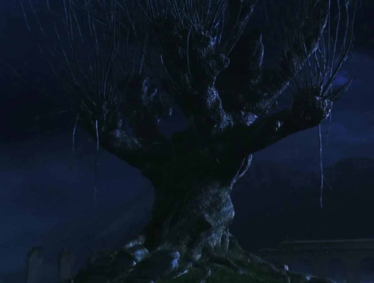 Whomping W Willow | The 5D-Combined-Shared Crossovers for An The-Good ...