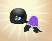 Turtles | The Animal Jam Wiki | Fandom