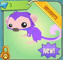 Monkeys | The Animal Jam Wiki | Fandom