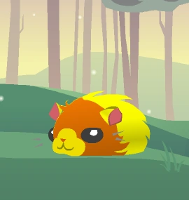 Hamsters | The Animal Jam Wiki | Fandom