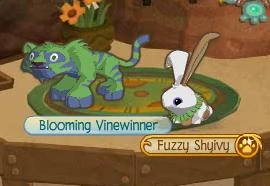 Paid Memberships | The Animal Jam Wiki | Fandom