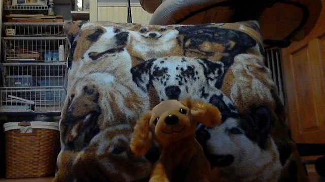 Tanner | The Animals Wiki | Fandom