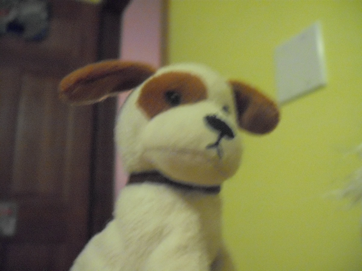 Boomer | The Animals Wiki | Fandom