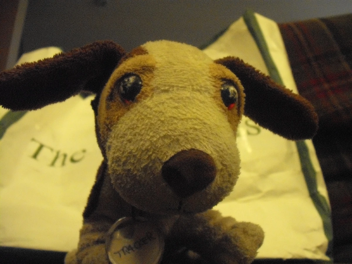 Tracker | The Animals Wiki | Fandom