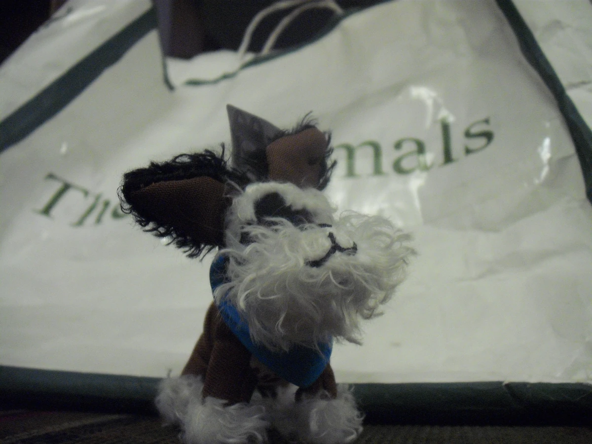 Romeo | The Animals Wiki | Fandom