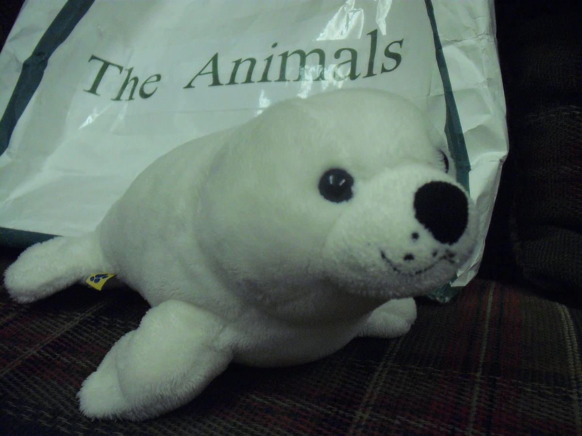 Sammy | The Animals Wiki | Fandom