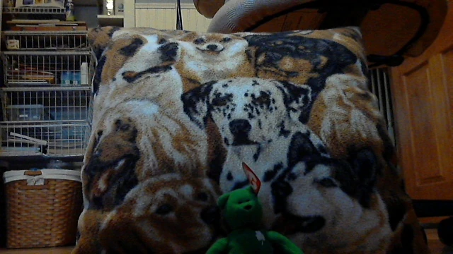 Erin | The Animals Wiki | Fandom