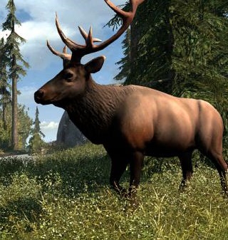 Alce | Animuspedia | Fandom