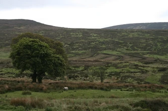 Hlondeth (Country) | TheAthasChronicle Wiki | Fandom