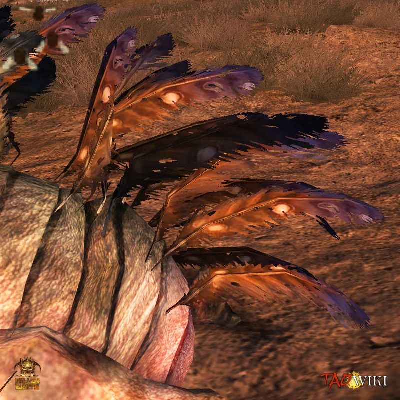 Prairie Chicken Feather | TAOWiki | Fandom