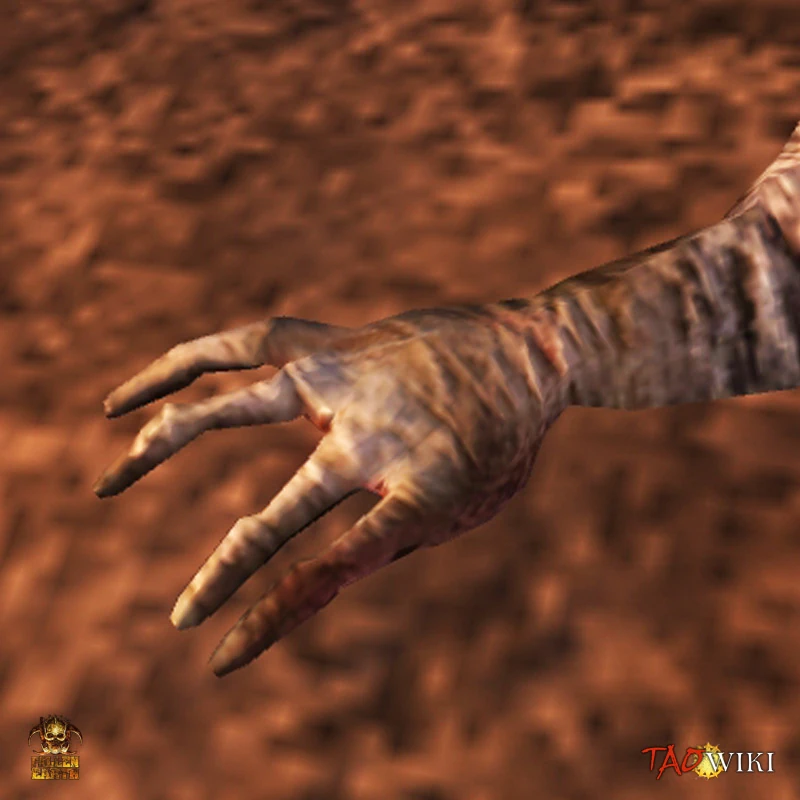 Chicken Hand | TAOWiki | Fandom