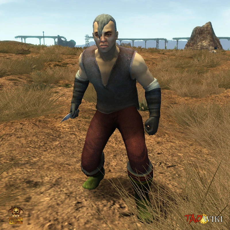 Blade Dancer Trainee | TAOWiki | Fandom