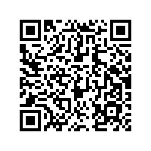 QR Code 3 | The Backrooms World Wiki | Fandom