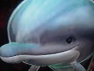 The Great Dolphin Race/Images | The Backyardigans Wiki | Fandom