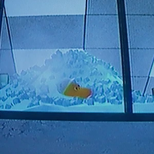 The Secret of Snow/Images | The Backyardigans Wiki | Fandom