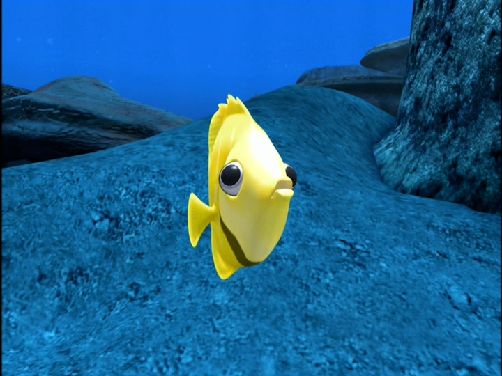 Tropical Fishes Names And Pictures