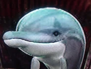 The Great Dolphin Race/Images | The Backyardigans Wiki | Fandom