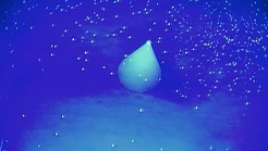 News Flash/Images | The Backyardigans Wiki | Fandom