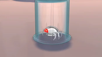 Bugs | The Backyardigans Wiki | Fandom