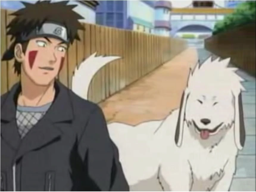 Kiba | Bakacosplay Wiki | Fandom