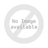 Xyrus Academy | The Beginning After The End Wiki | Fandom