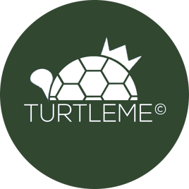 TurtleMe | The Beginning After The End Wiki | Fandom