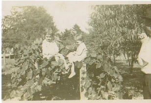 Family album of the Joseph P. and Roena Hall Beaird Family | The Beard ...