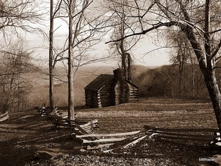 Timeline of the Beard Family: Where They Were, What They Were Doing ...