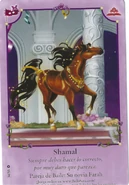 Shamal | The Bella Sara Wiki | Fandom