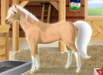 Starlight | The Bella Sara Wiki | Fandom