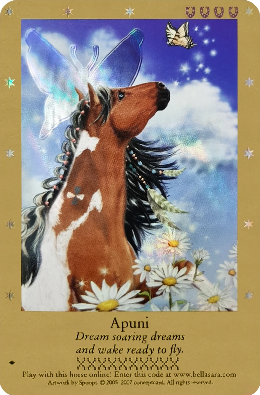 Promo Cards | The Bella Sara Wiki | Fandom