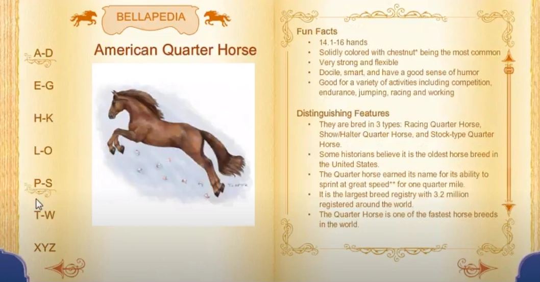 American Quarter Horse | The Bella Sara Wiki | Fandom