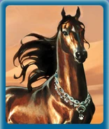 Shamal | The Bella Sara Wiki | Fandom