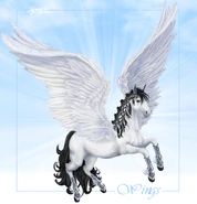 The Valkyrie Steeds | The Bella Sara Wiki | Fandom