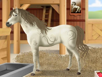 Tai | The Bella Sara Wiki | Fandom