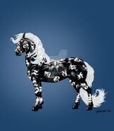 Oracle | The Bella Sara Wiki | Fandom