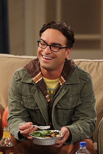 Leonard Hofstadter Wiki The Big Bang Theory Fandom