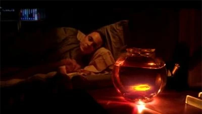 The Luminous Fish Effect | Wiki The Big Bang Theory | Fandom