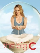 Season 2 | The Big C Wiki | Fandom